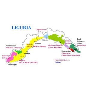 15 Best Wine Regions in Italy - Italy We Love You